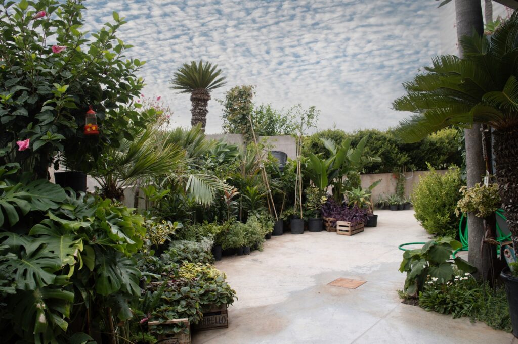 Embracing Panoramic Views: The Inspiration Behind Mirador House - total